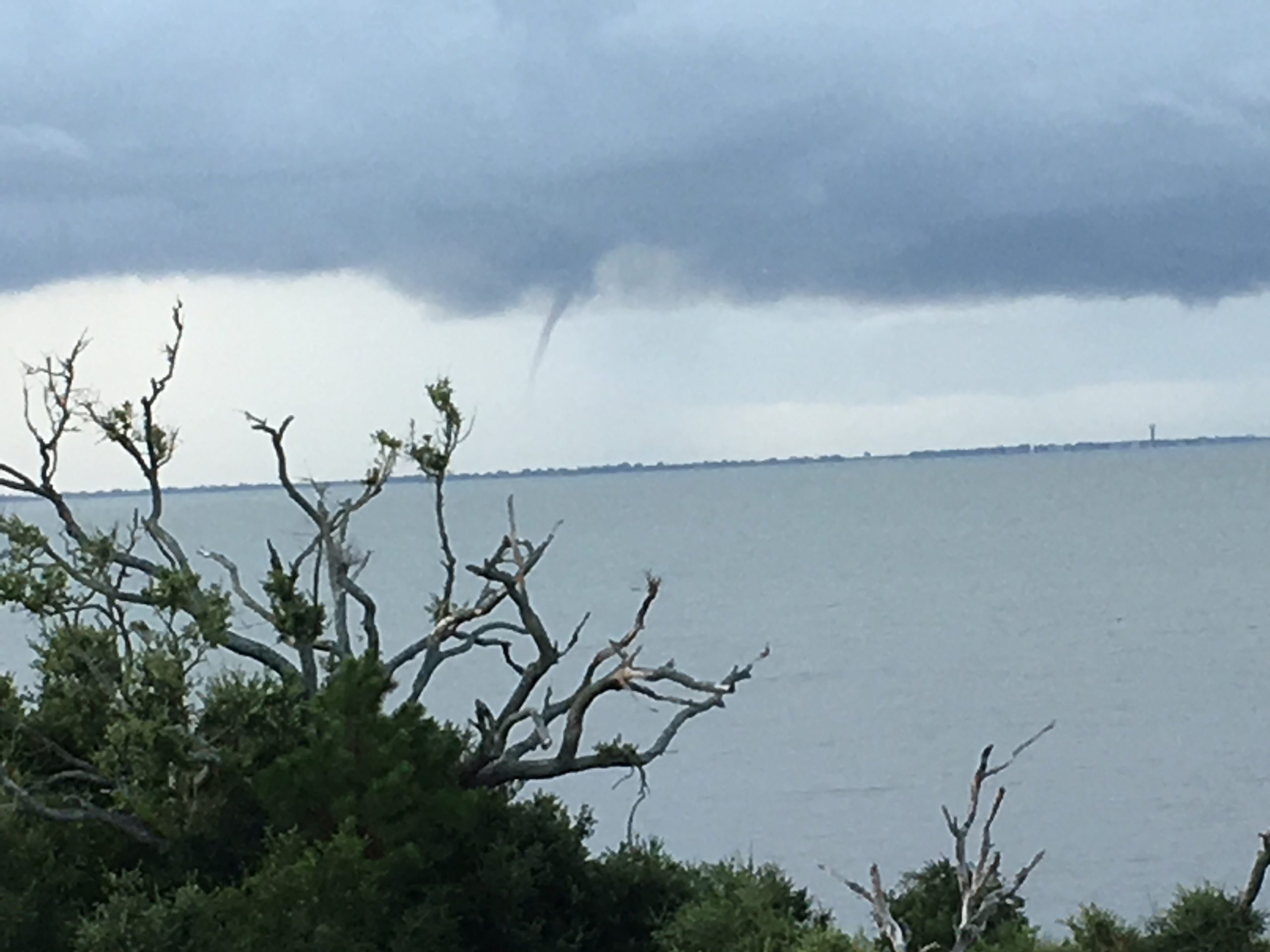 Smith Point Hawk Watch 8/23/19 (0 raptors) - Gulf Coast Bird Observatory