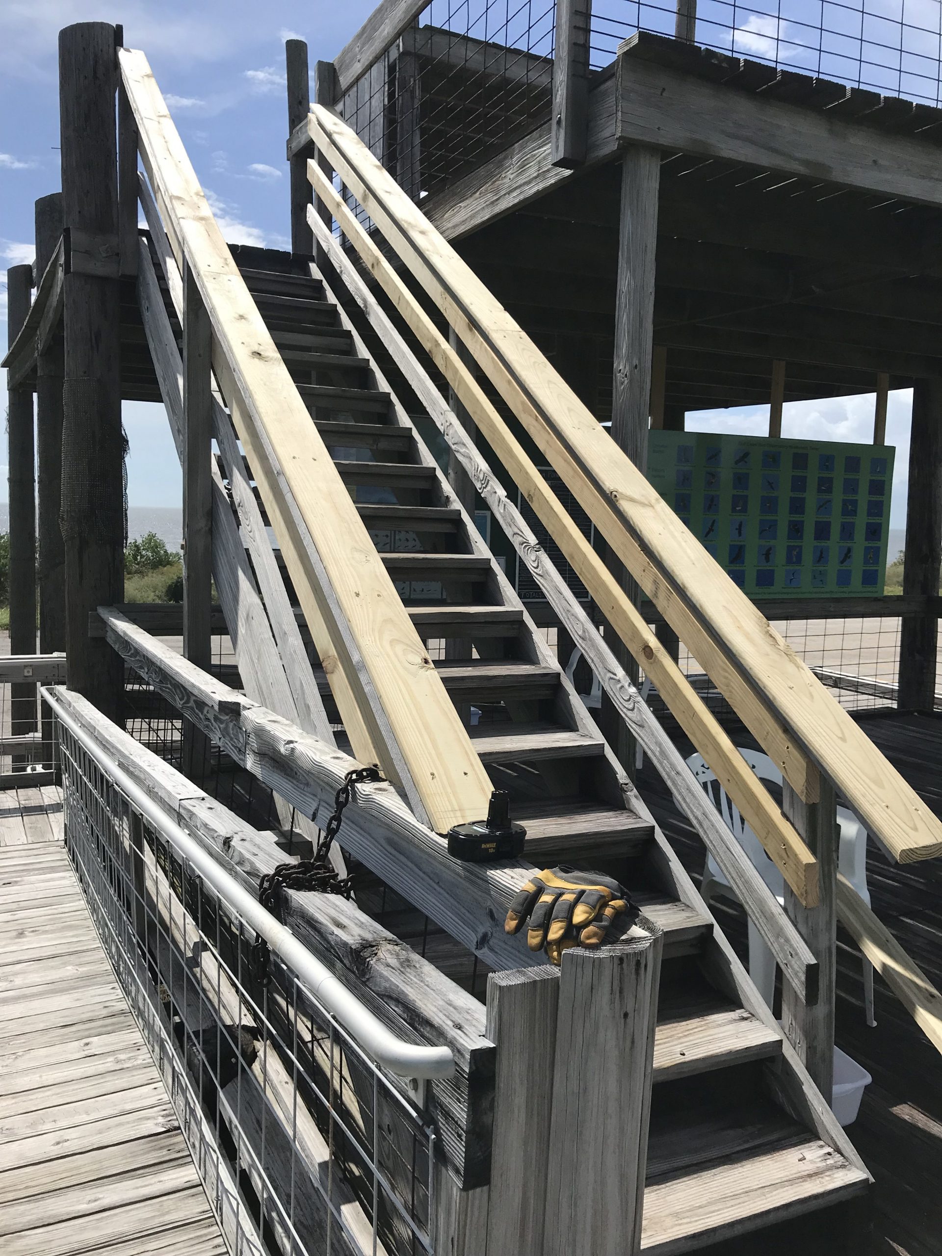 Smith Point Hawk Watch 10/15/19 (14 raptors) | Gulf Coast Bird Observatory