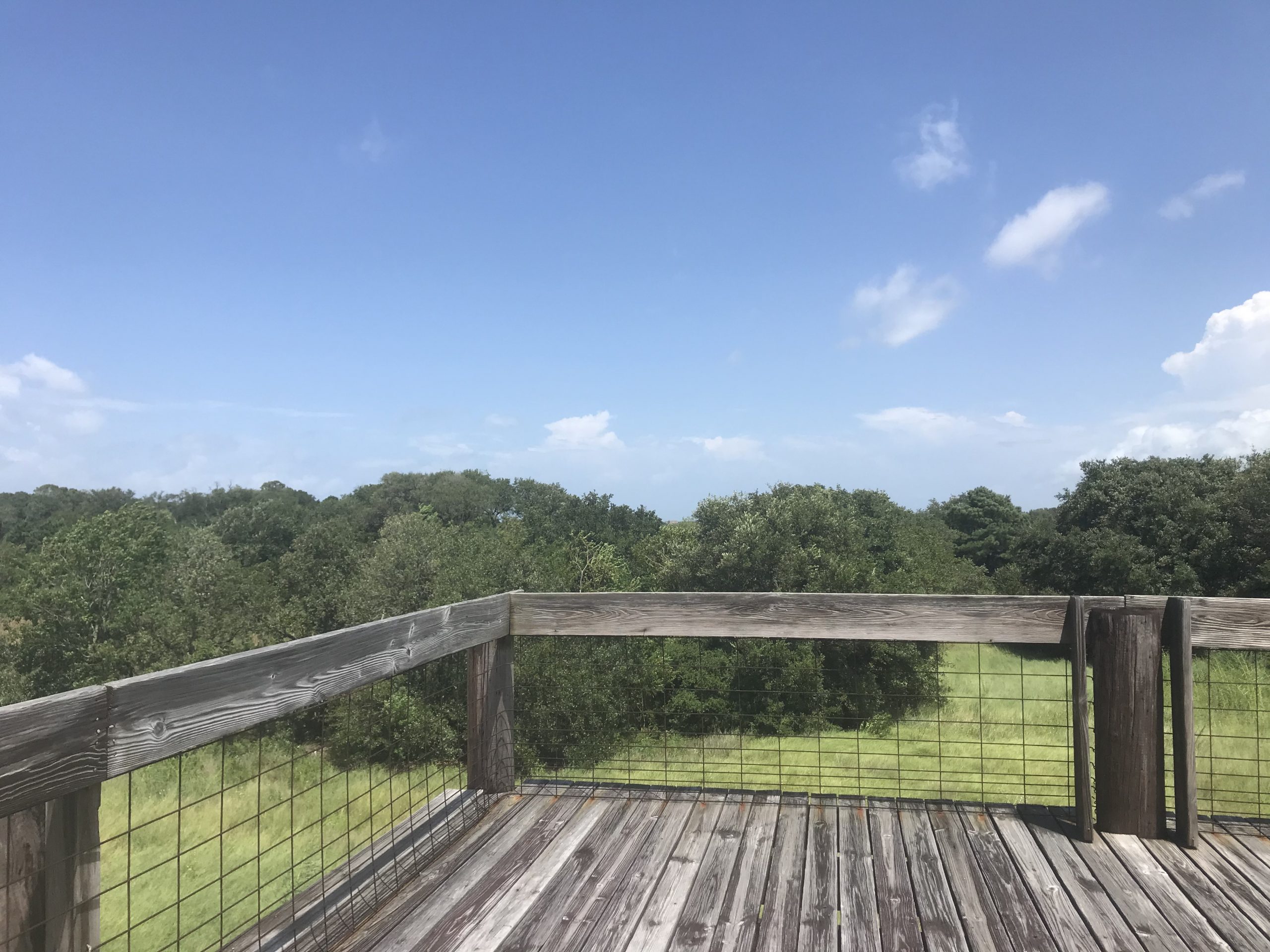 Smith Point Hawk Watch 8/28/20 (1 raptor) - Gulf Coast Bird Observatory