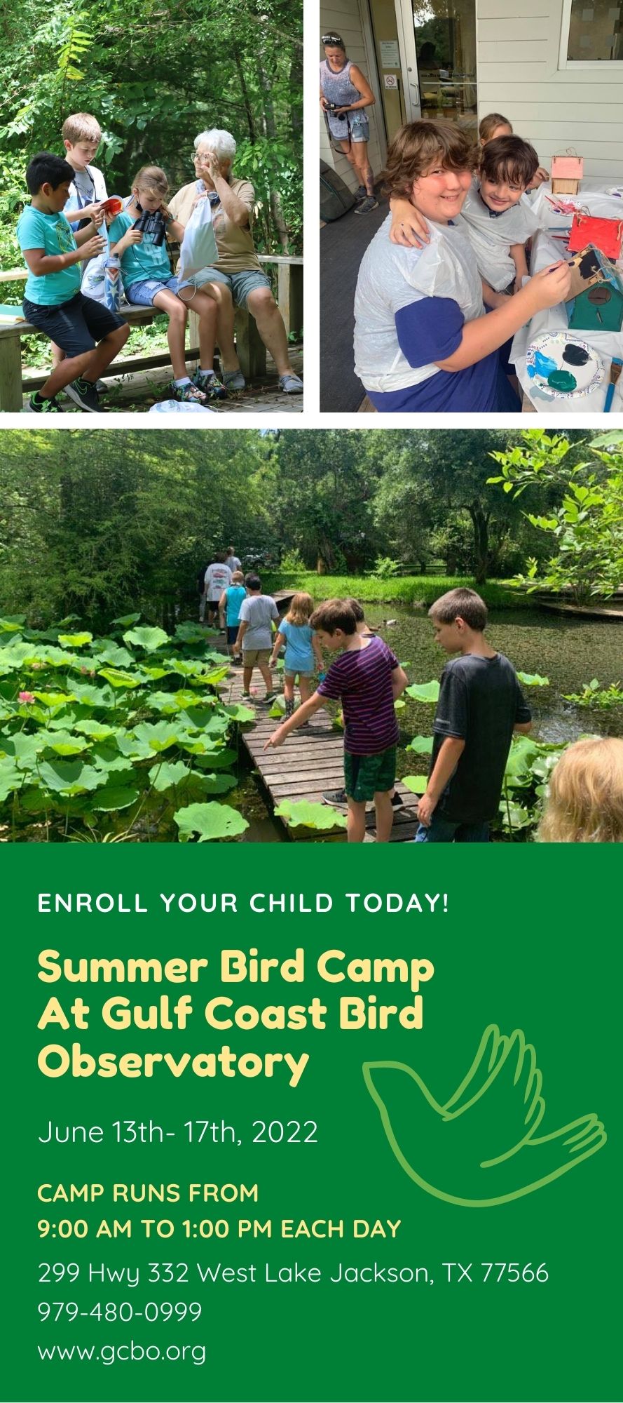 Summer Bird Camp - Gulf Coast Bird Observatory Events