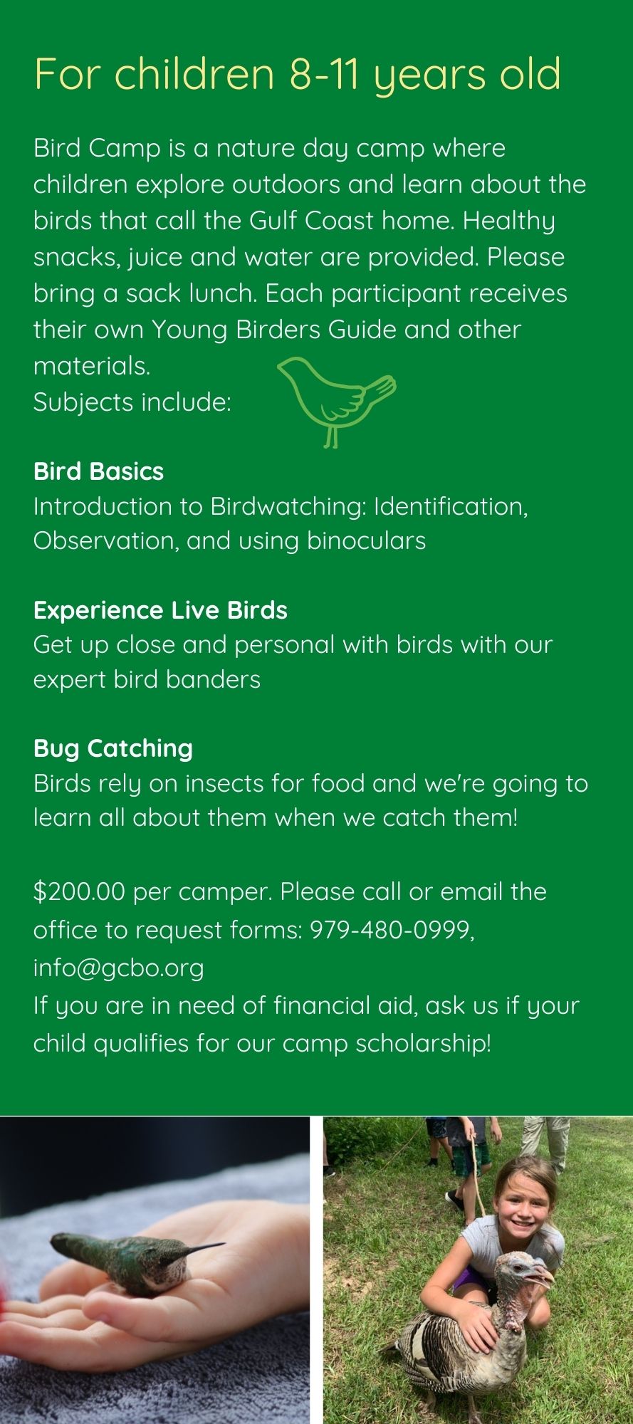 Summer Bird Camp - Gulf Coast Bird Observatory Events