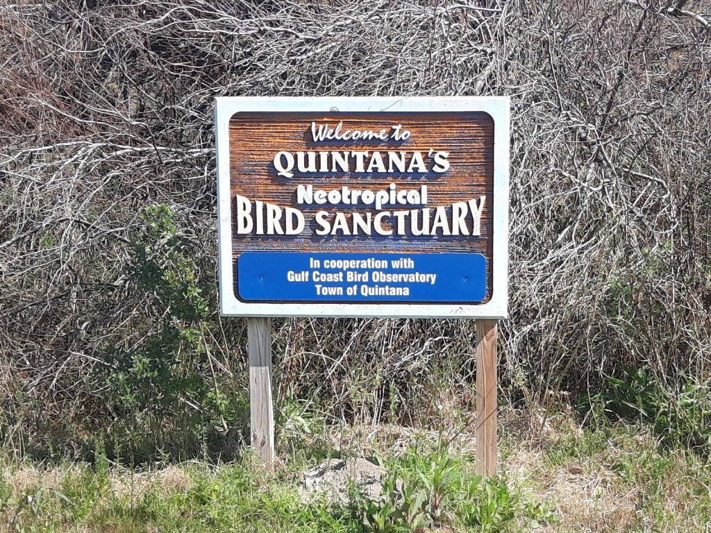 Quintana Neotropical Bird Sanctuary - Gulf Coast Bird Observatory