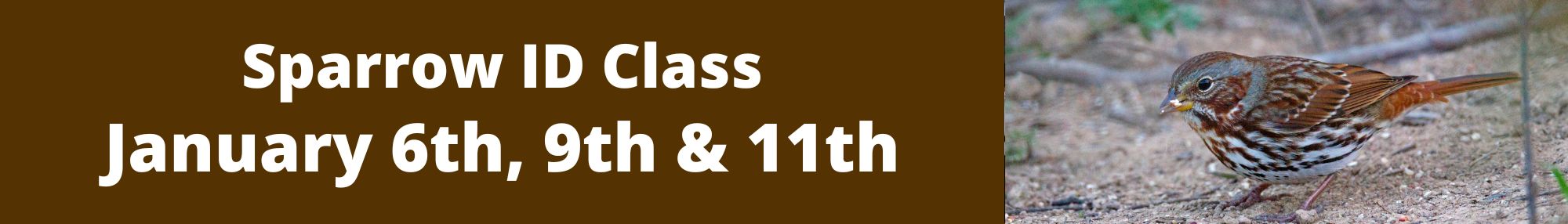 Home - Gulf Coast Bird Observatory