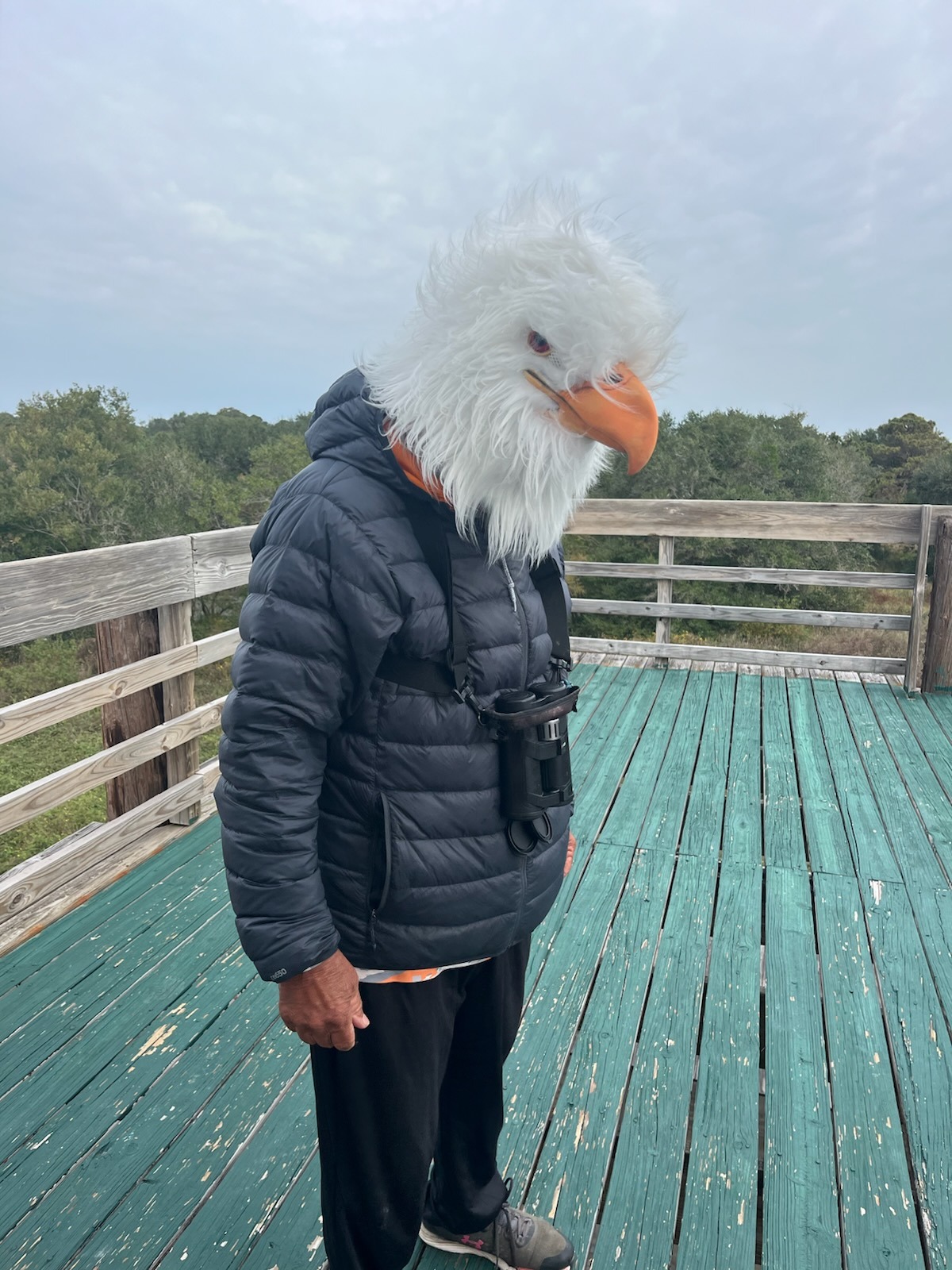 Smith Point Hawk Watch – 2024 season wrap-up! | Gulf Coast Bird Observatory