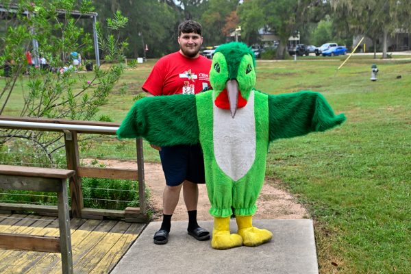 Volunteer | Gulf Coast Bird Observatory